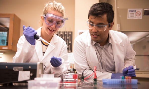 South Seattle College